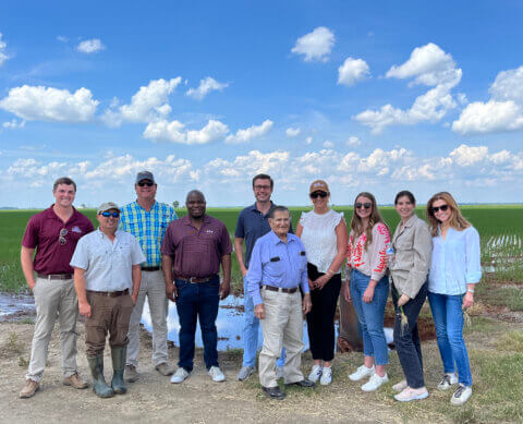 Home - Mississippi Farm Bureau Federation